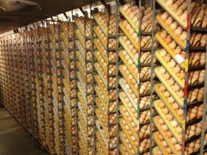 Process | Mar-Jac Poultry Mar-Jac Poultry