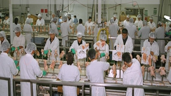 About Mar-Jac – Mar-Jac Poultry